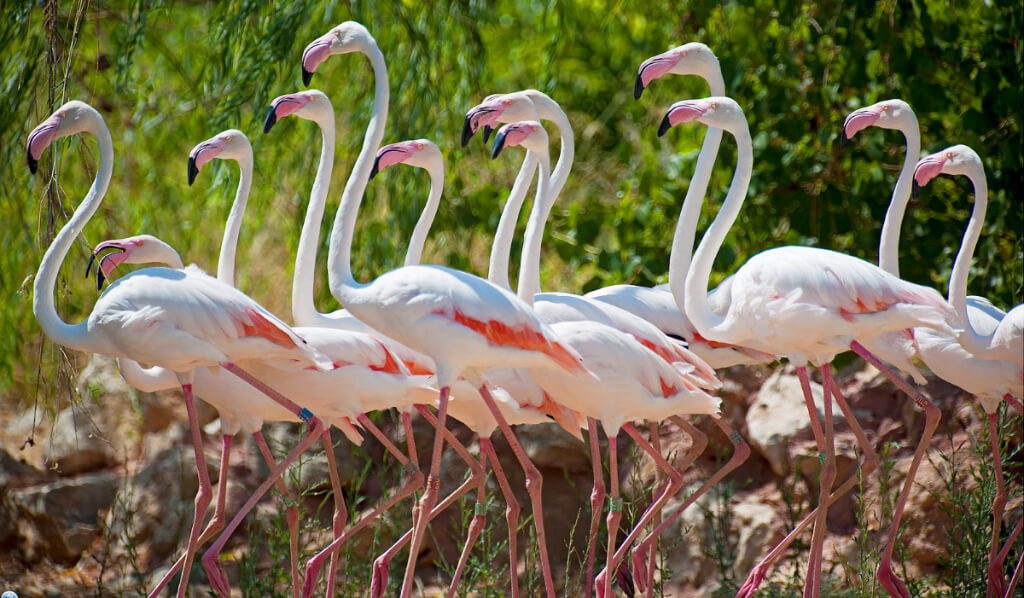 GREECE FOR KIDS - ENJOYING YOUR FAMILY TRIP TO ATHENS